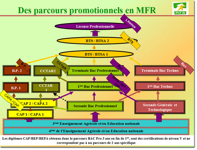 Itin raires CAP BEP Bac Pro BTS Licence Professionnelle